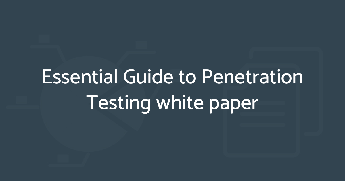 Essential Guide to Penetration Testing